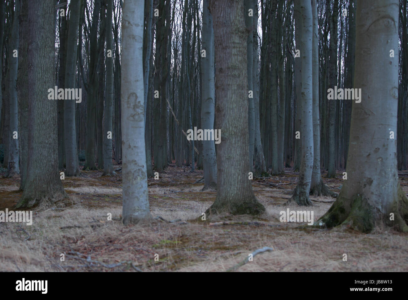 baltic sea salt water Stock Photo - Alamy