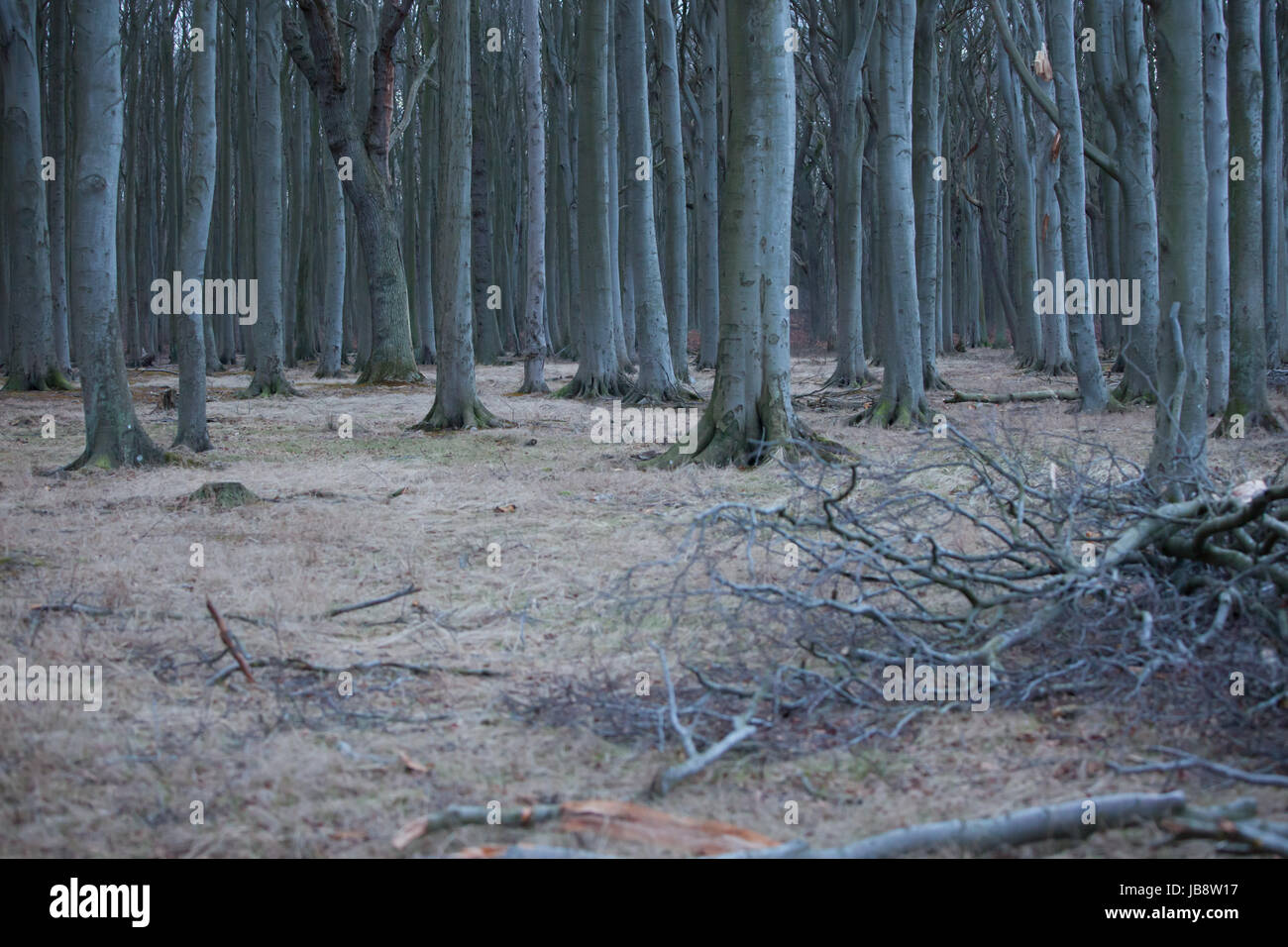 baltic sea salt water Stock Photo - Alamy