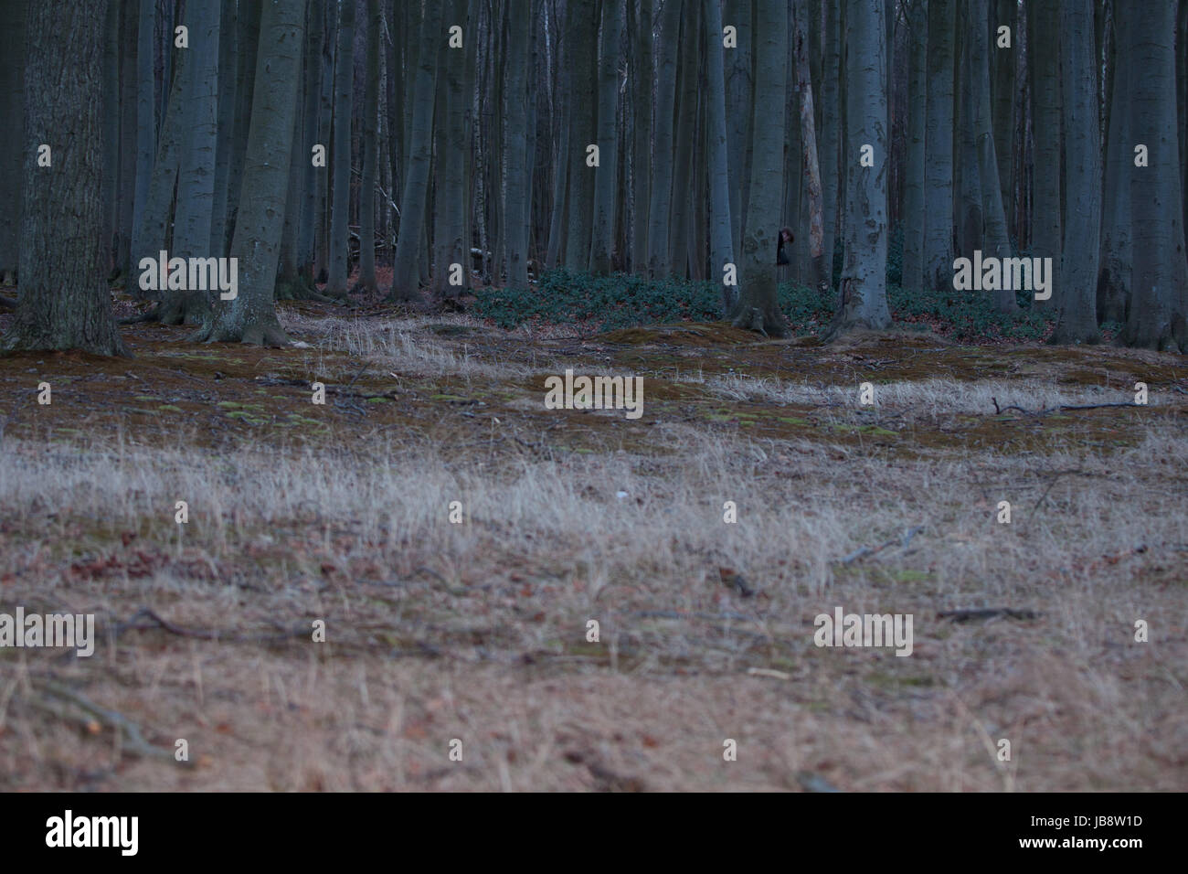 baltic sea salt water Stock Photo - Alamy