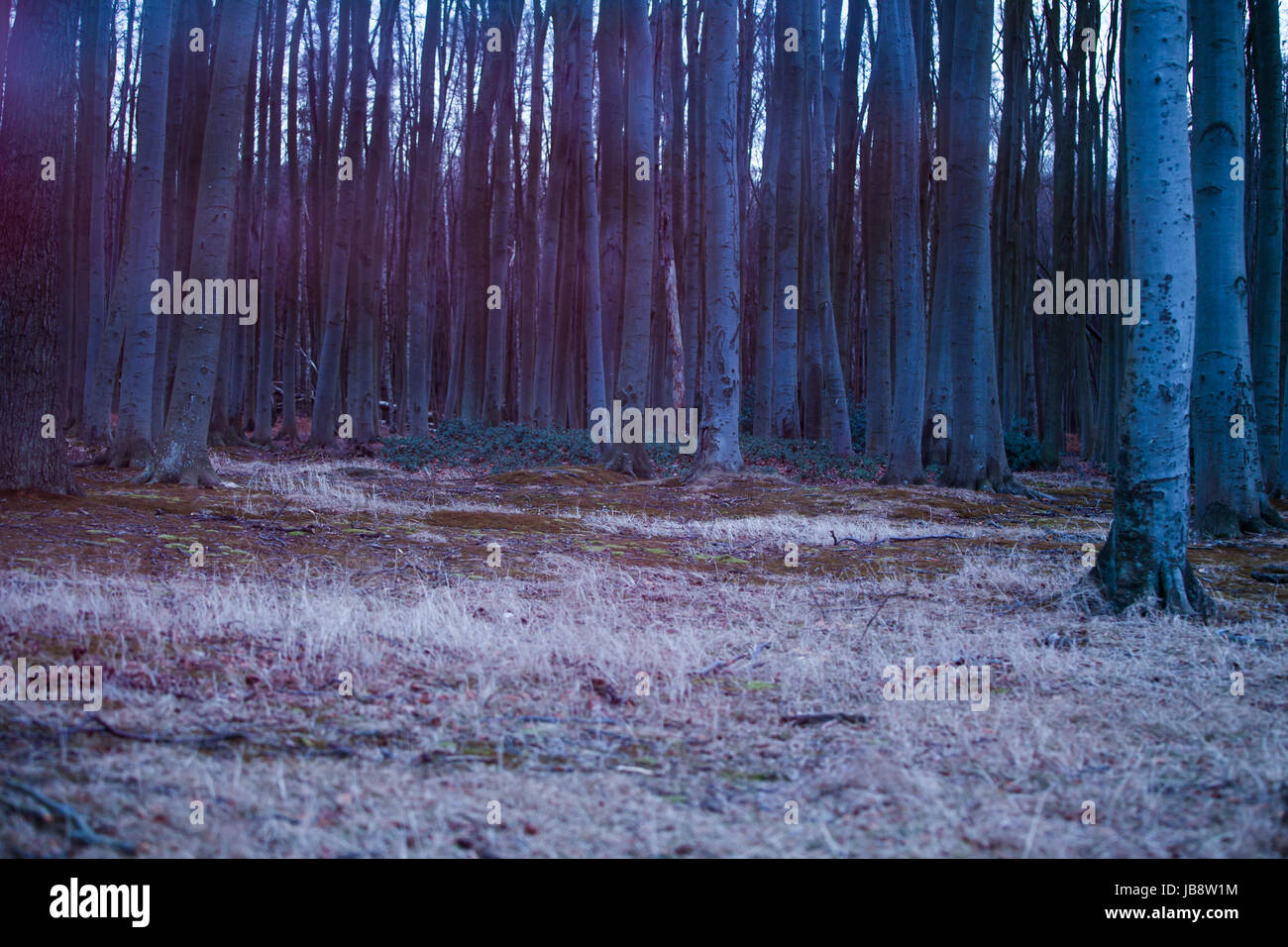 baltic sea salt water Stock Photo - Alamy