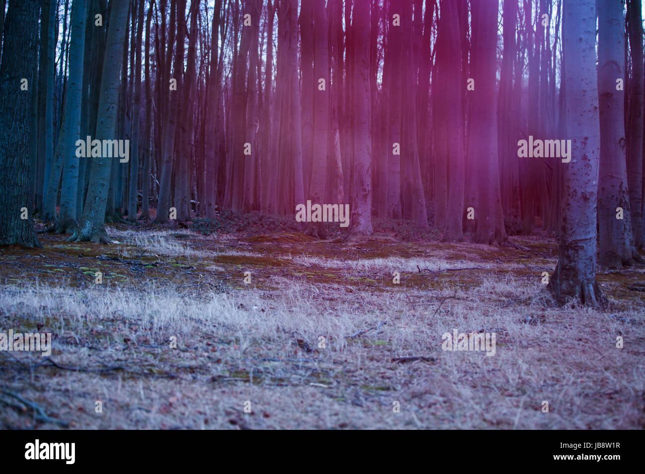 baltic sea salt water Stock Photo - Alamy