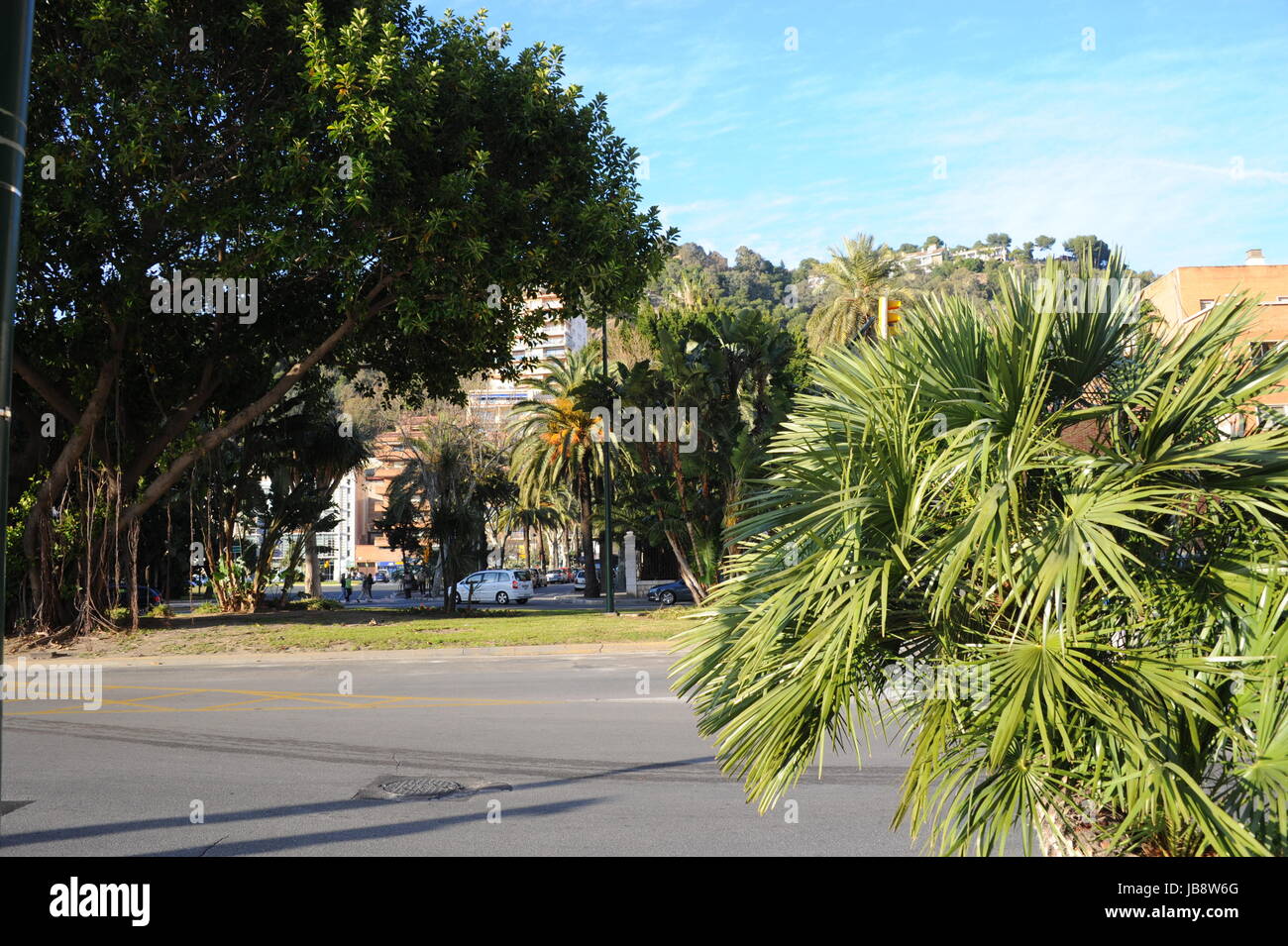 palman costa del sol Stock Photo - Alamy