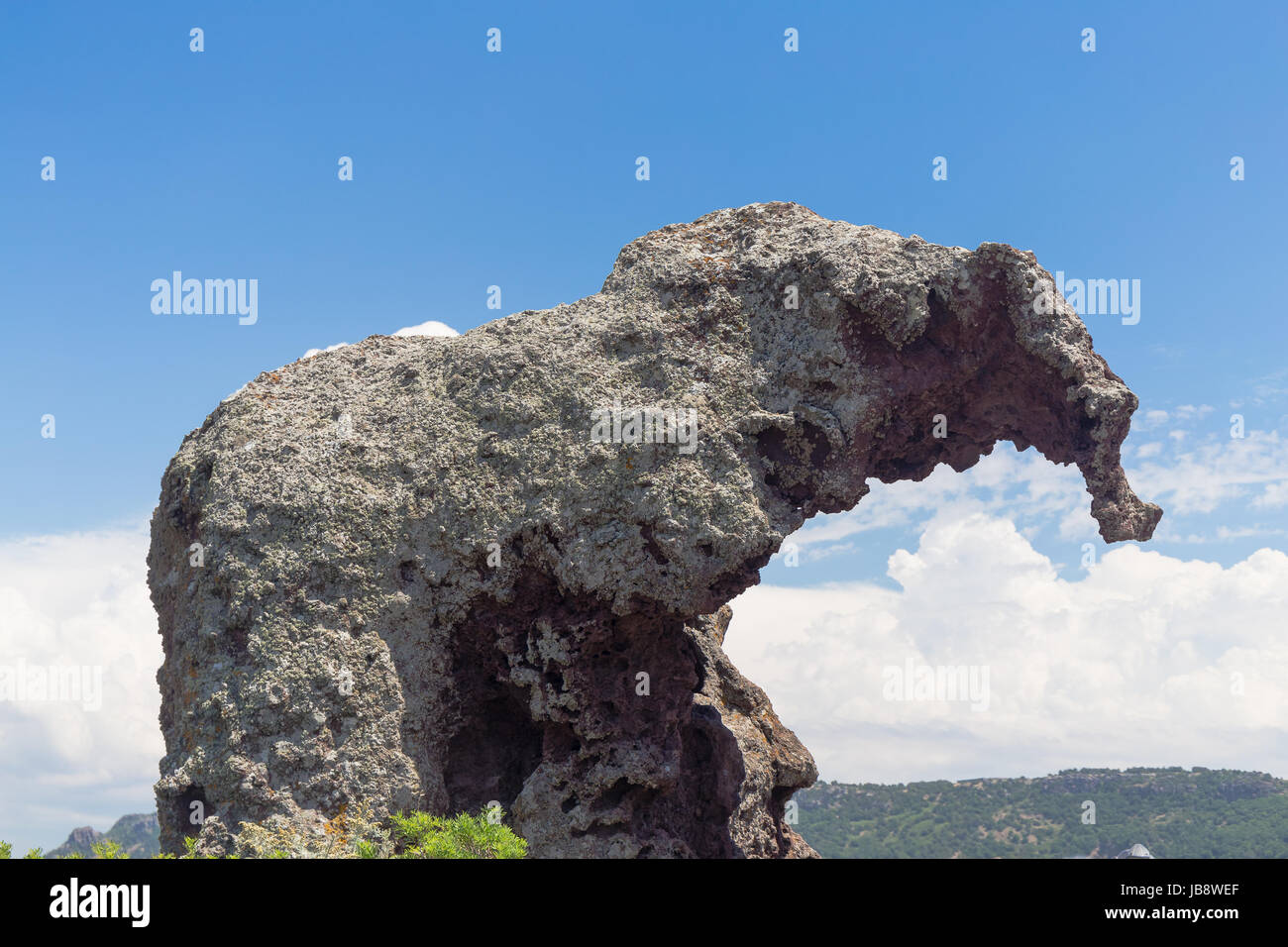 Elephant Rock is a large mass of trachyte stone standing beside State ...