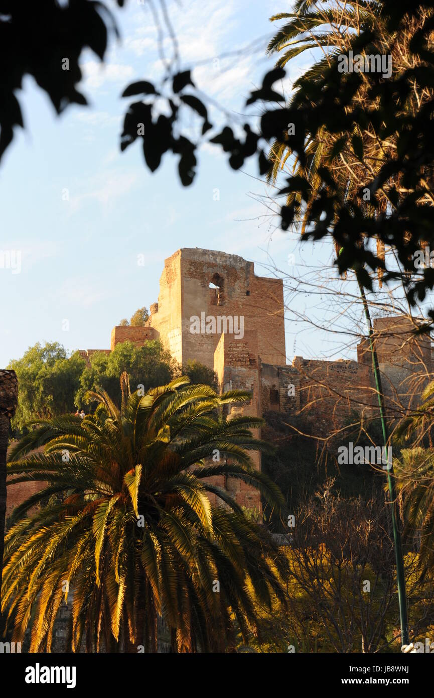 palman costa del sol Stock Photo - Alamy