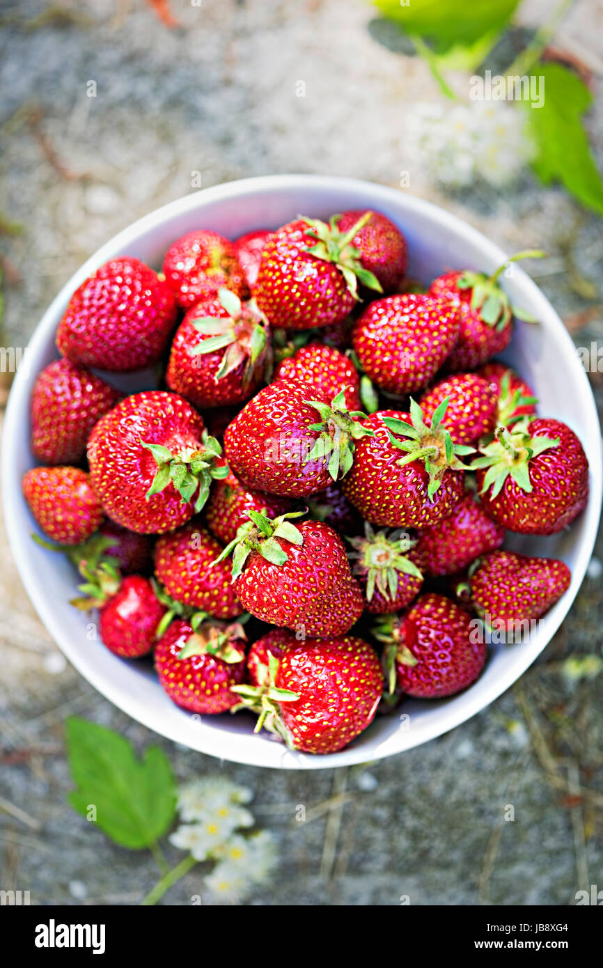 Bowl of strawberries Stock Photo - Alamy