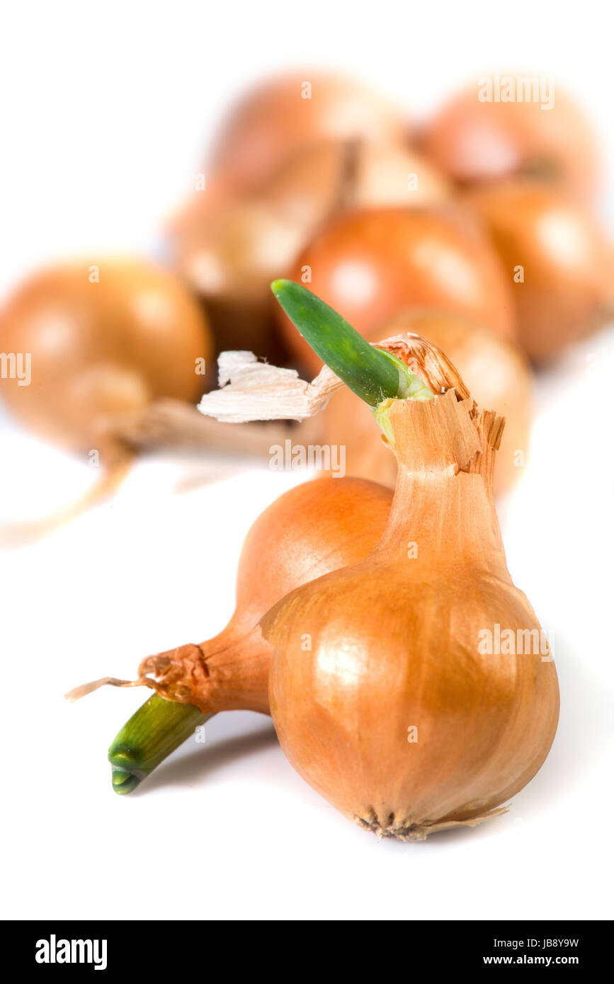 Small onions on white background Stock Photo - Alamy