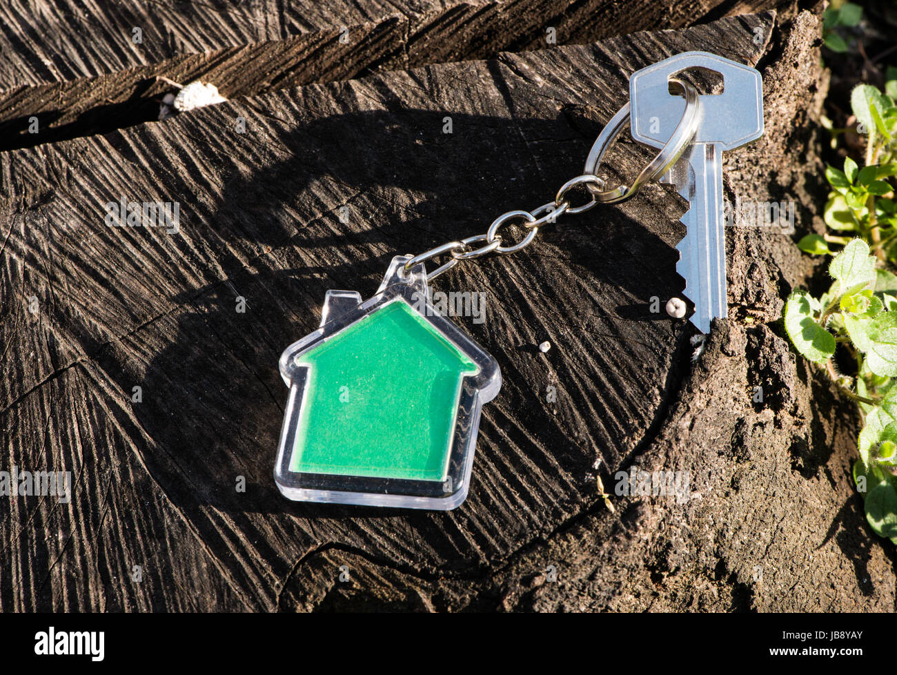 Keychain in a shape of house on wood. Green color house Stock Photo - Alamy