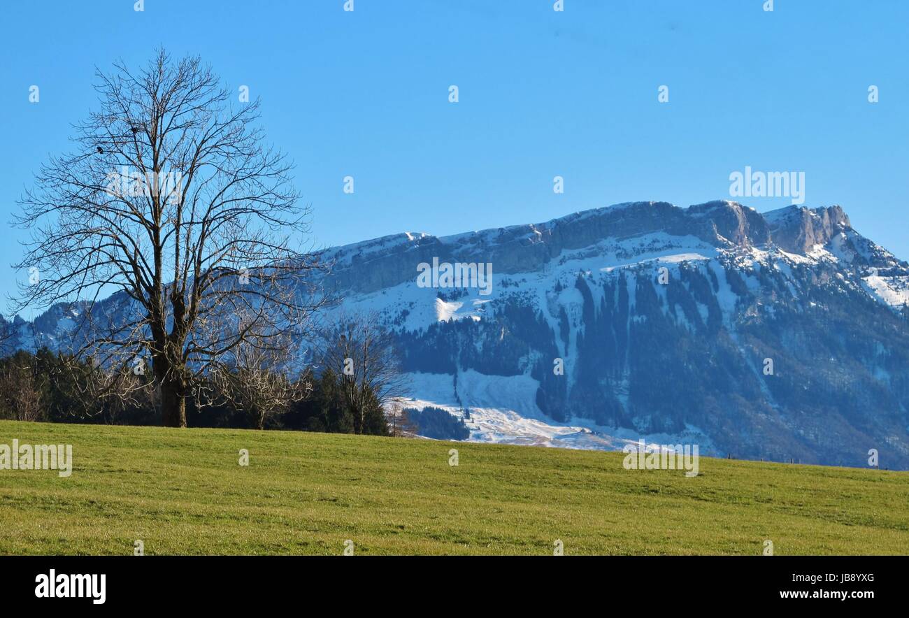 Sigel hi-res stock photography and images - Alamy
