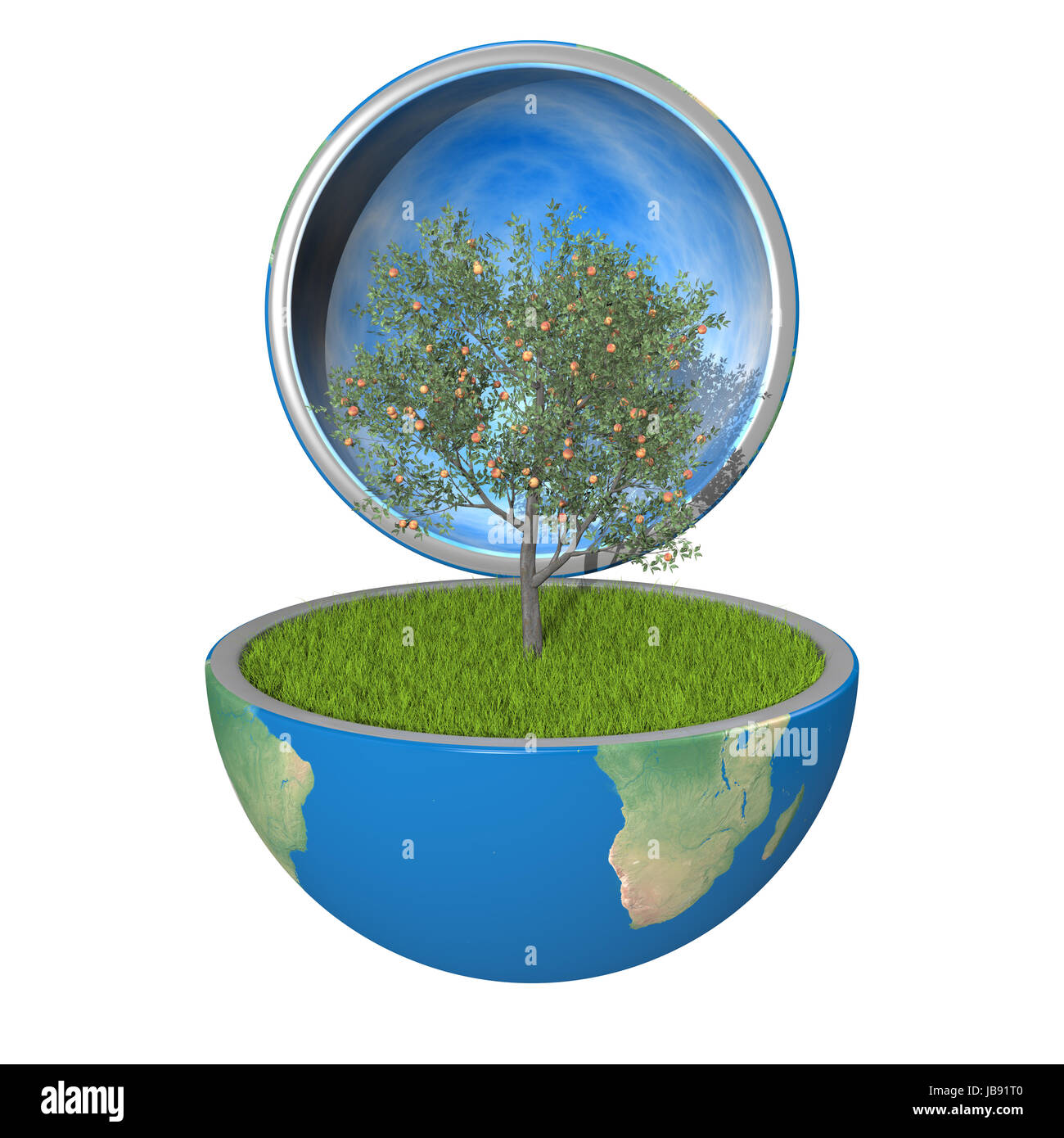 Fruit tree growing inside opened planet Earth, isolated on white ...