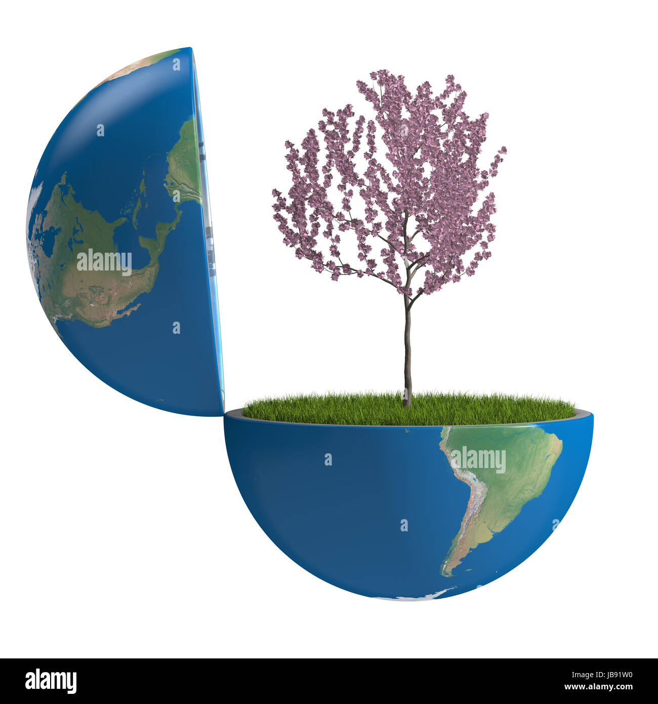 Flowering tree growing inside opened planet Earth, isolated on white ...