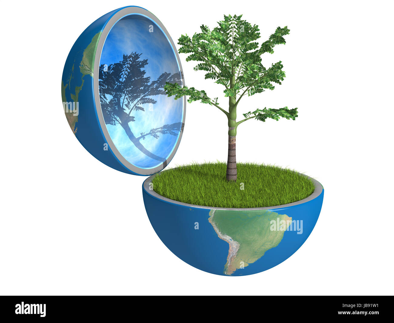 Palm tree growing inside opened planet Earth, isolated on white ...