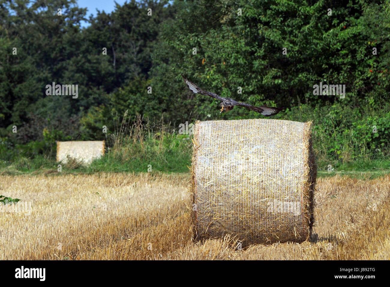 Flying over field bales hi-res stock photography and images - Alamy