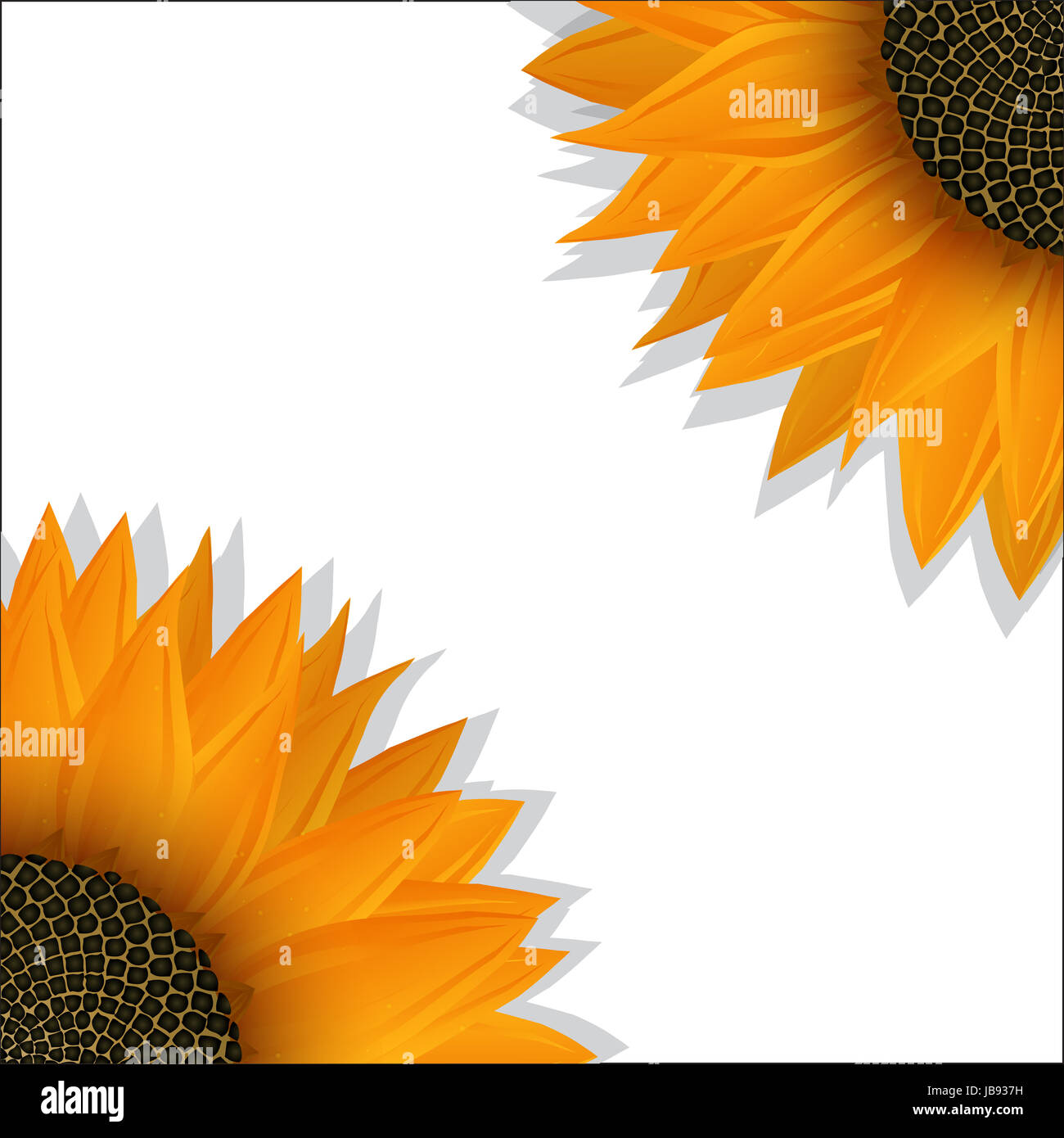 Oil label design sunflower hi-res stock photography and images - Alamy