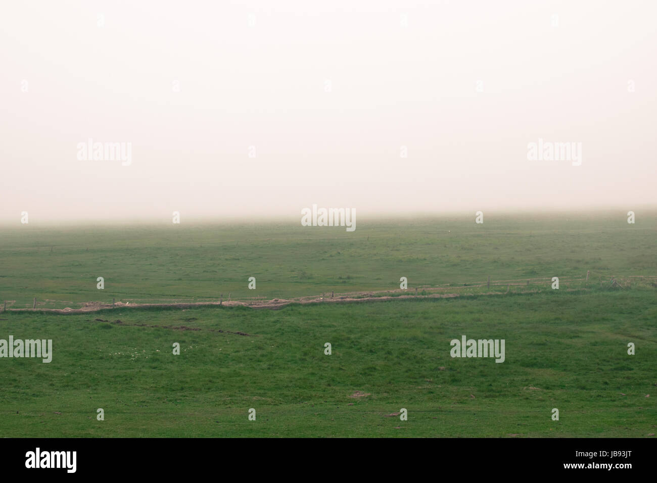 big green field with a foggy environment Stock Photo - Alamy
