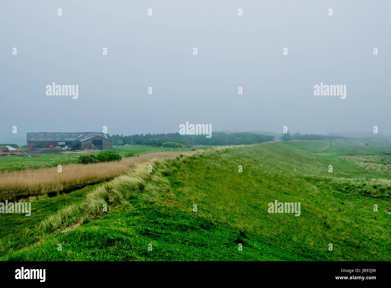 Foggy environment hi-res stock photography and images - Alamy