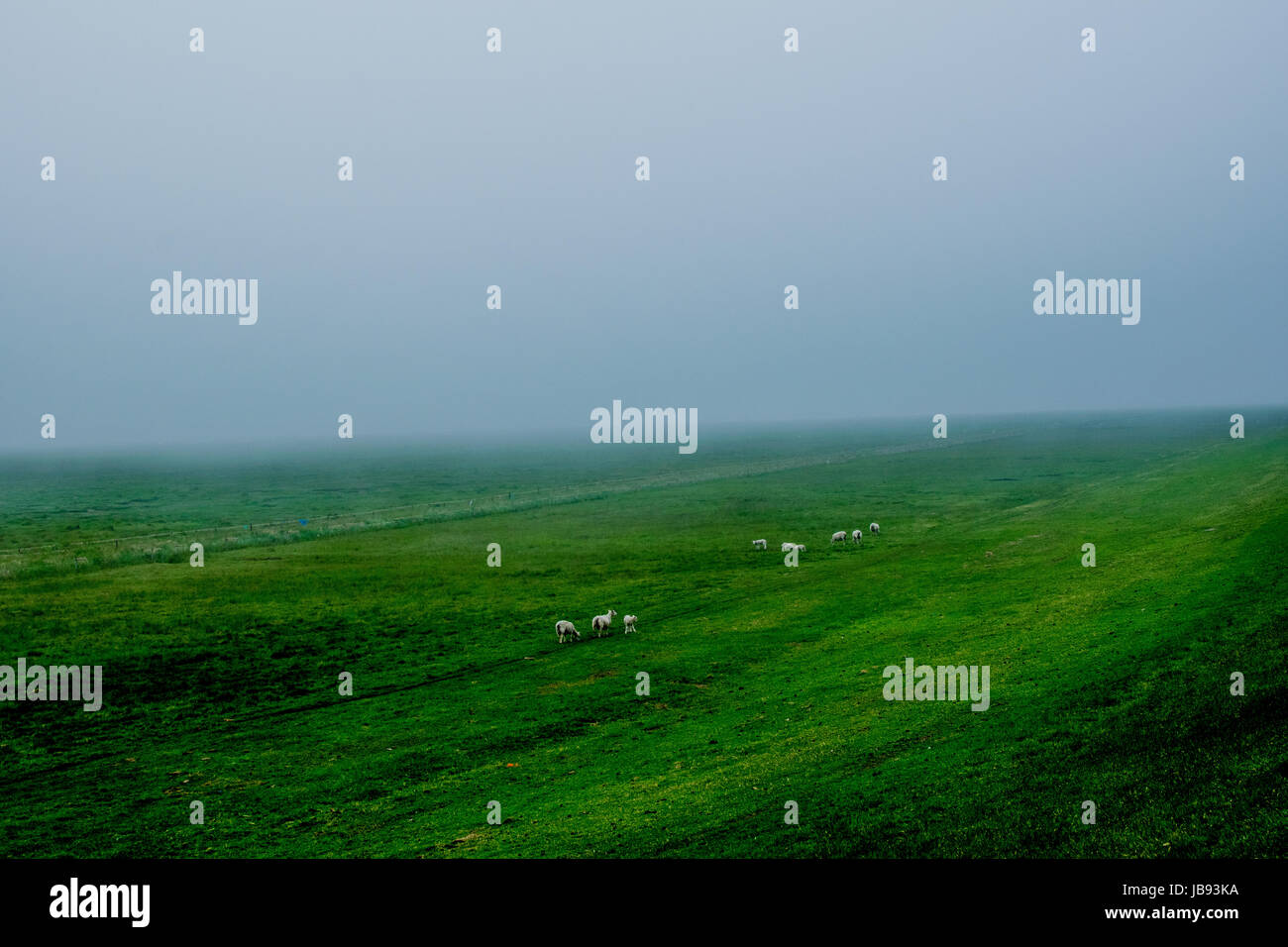 big green field with a foggy environment Stock Photo - Alamy
