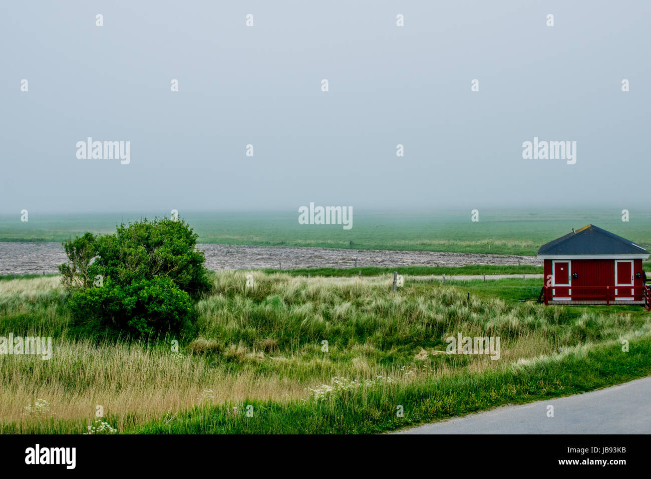 big green field with a foggy environment Stock Photo - Alamy