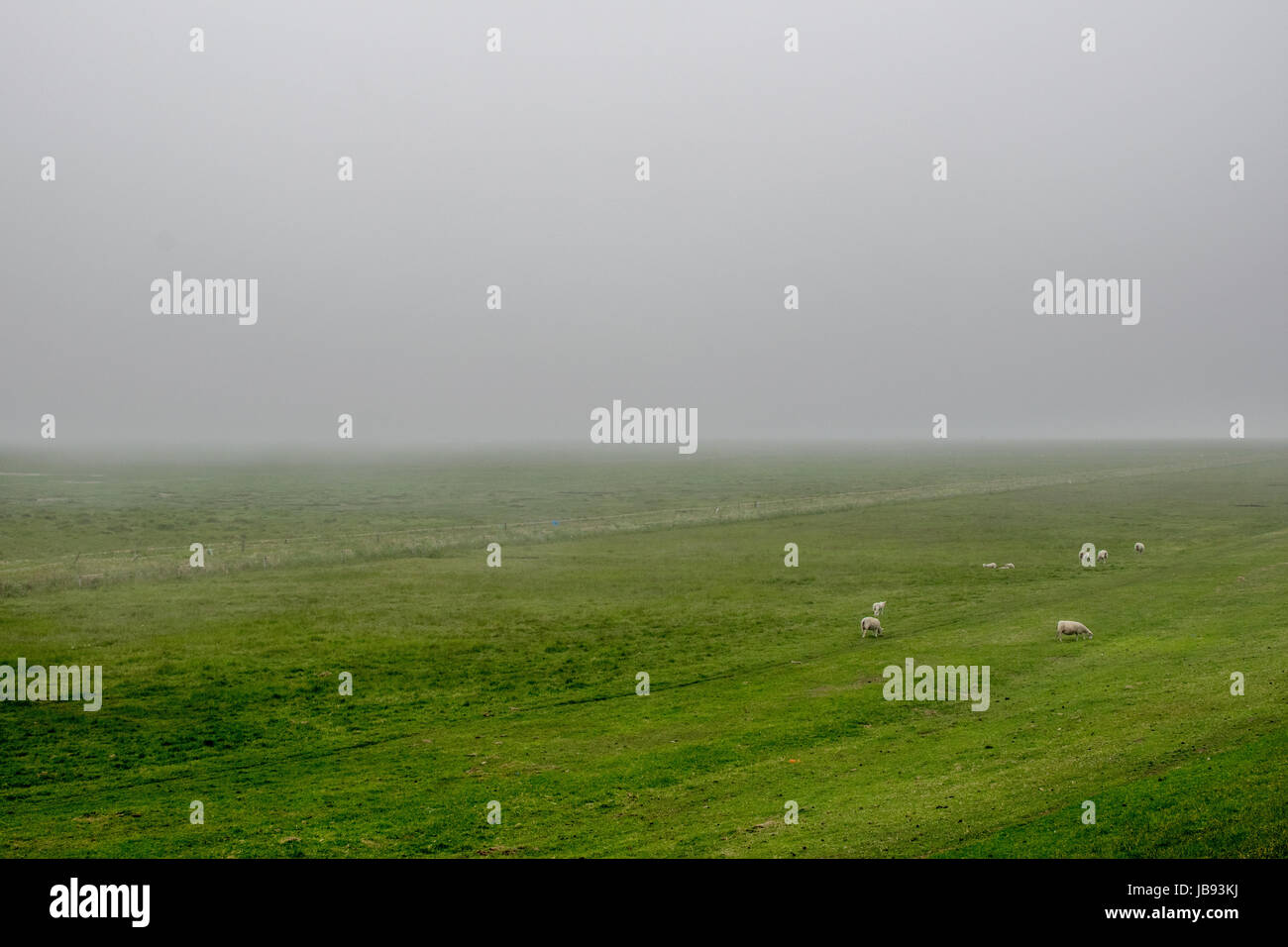 big green field with a foggy environment Stock Photo - Alamy