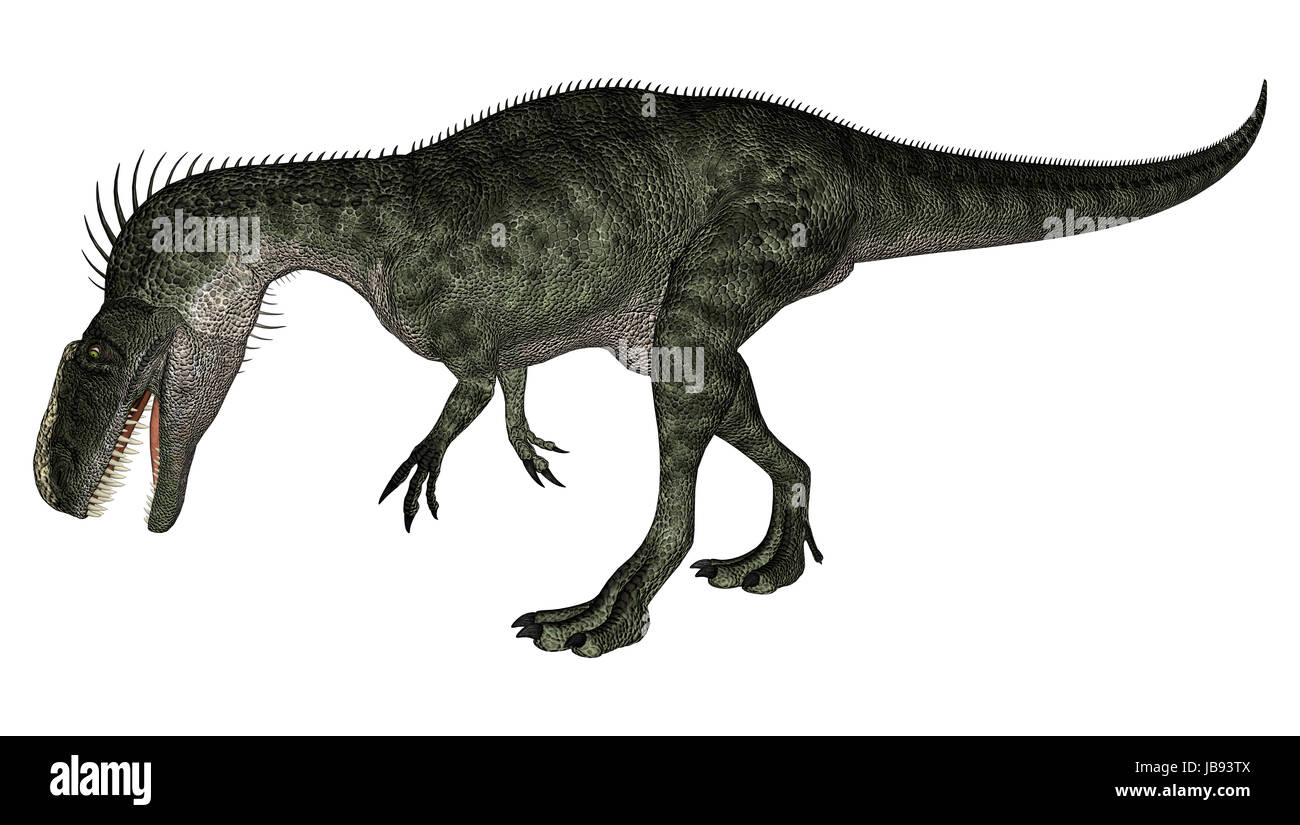 3D digital render of a walking dinosaur Monolophosaurus isolated on ...