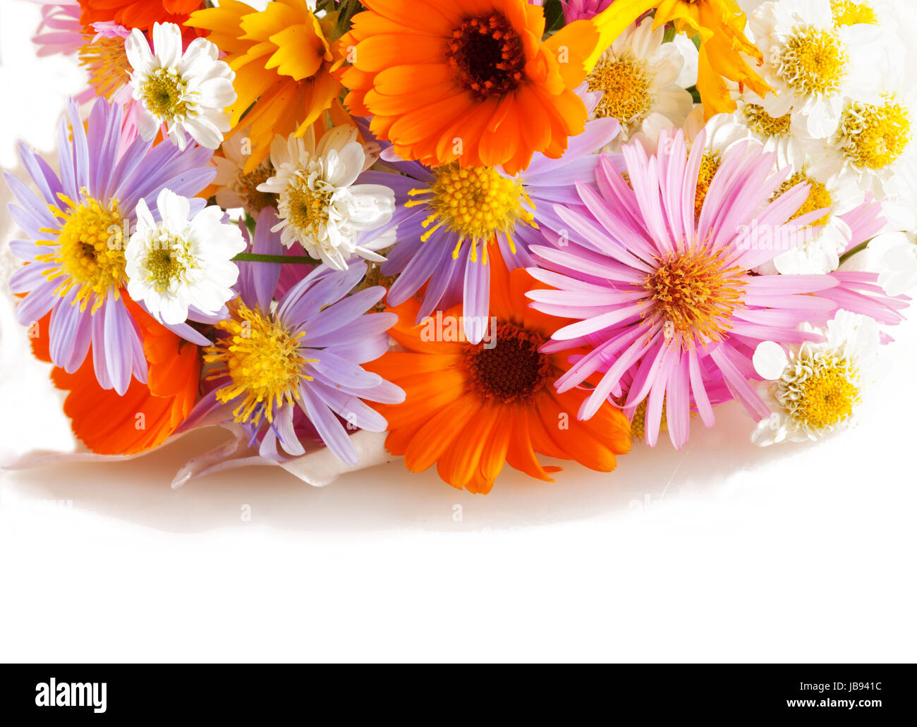 Big bunch of flowers over white background Stock Photo - Alamy