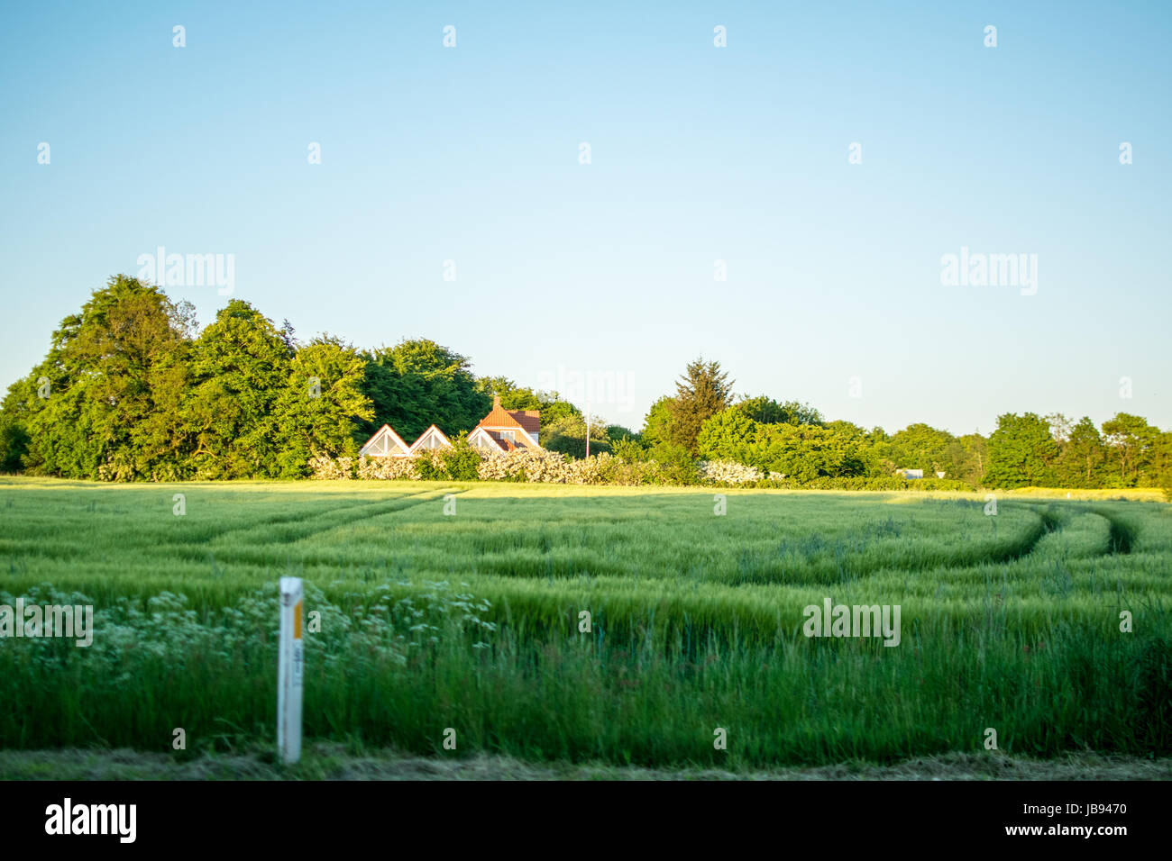 Beautiful green nature in Europe from the road Stock Photo - Alamy