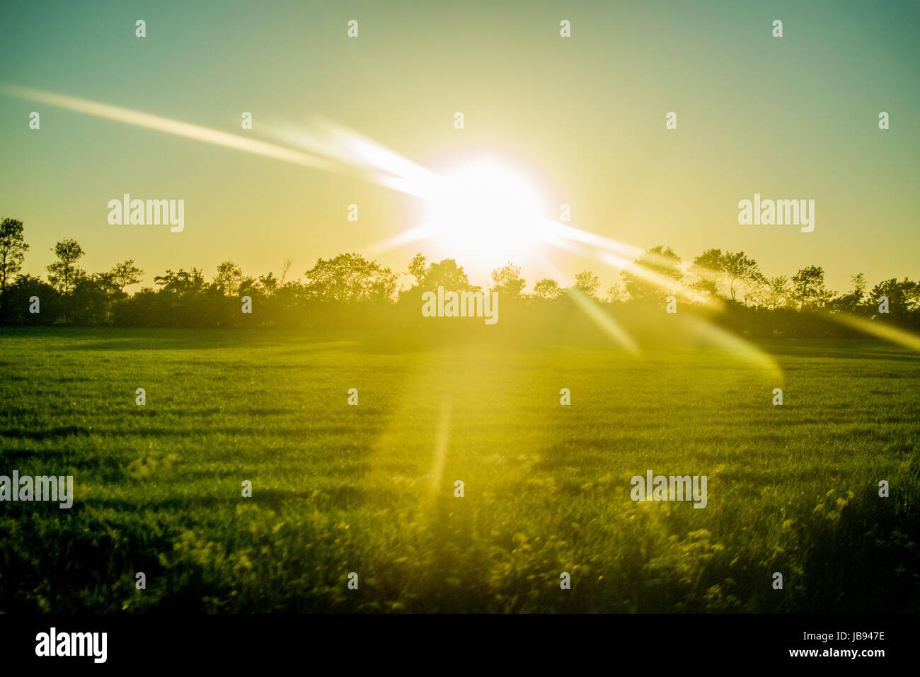green landscape at sunset in Europe Stock Photo - Alamy