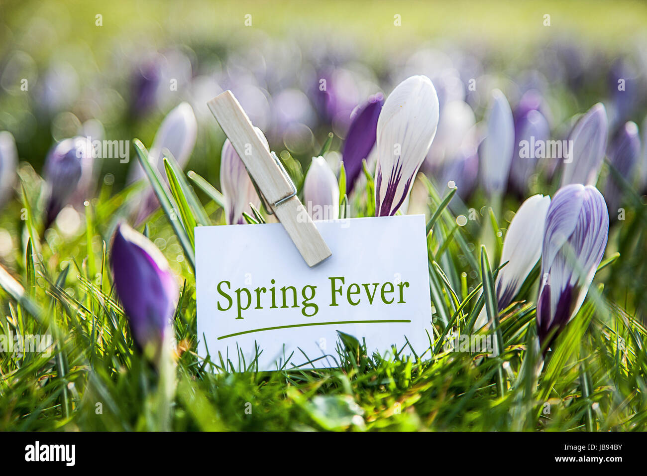 Spring fever hi-res stock photography and images - Alamy