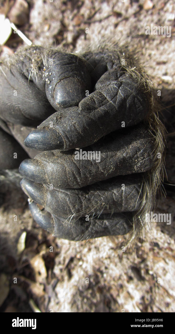 Weak ground hi-res stock photography and images - Alamy