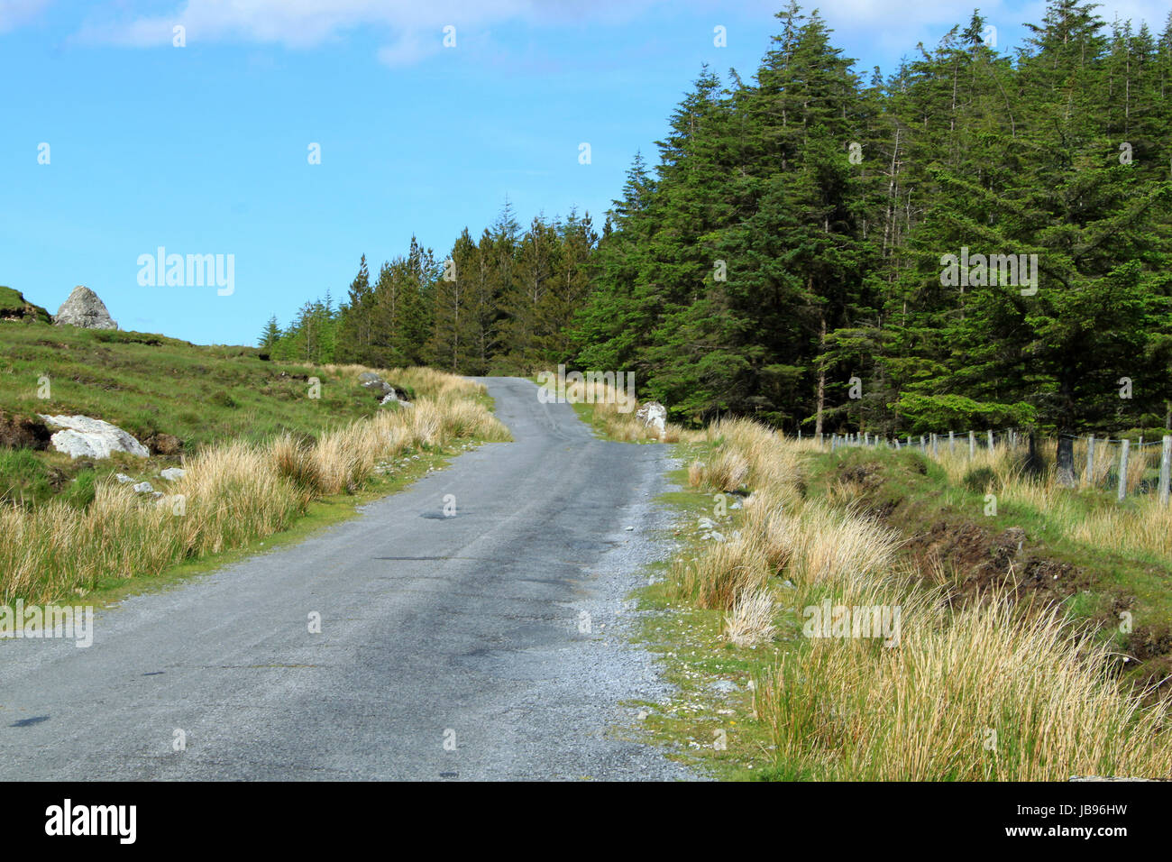 Tree verge hi-res stock photography and images - Alamy