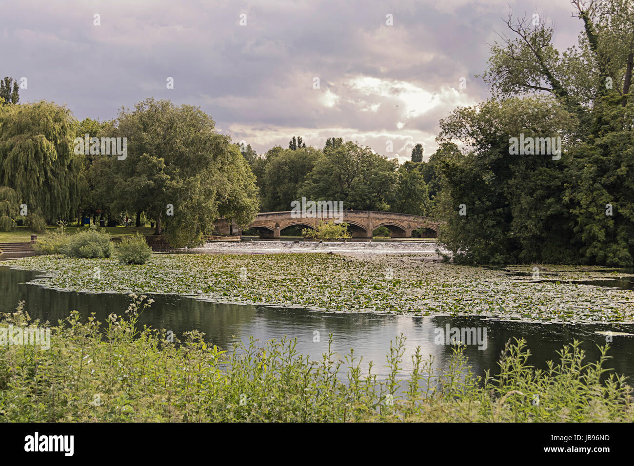 Abbey Park Bridge In Leicester Stock Photo - Alamy
