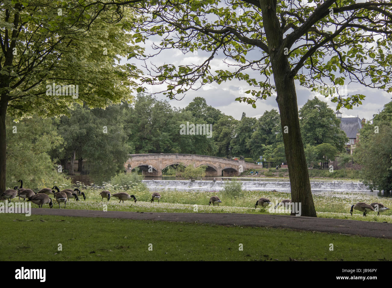Abbey Park Bridge In Leicester, United Kingdom Stock Photo - Alamy