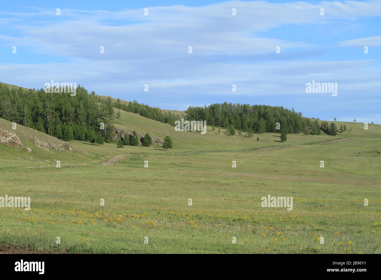 Central eurasian steppe