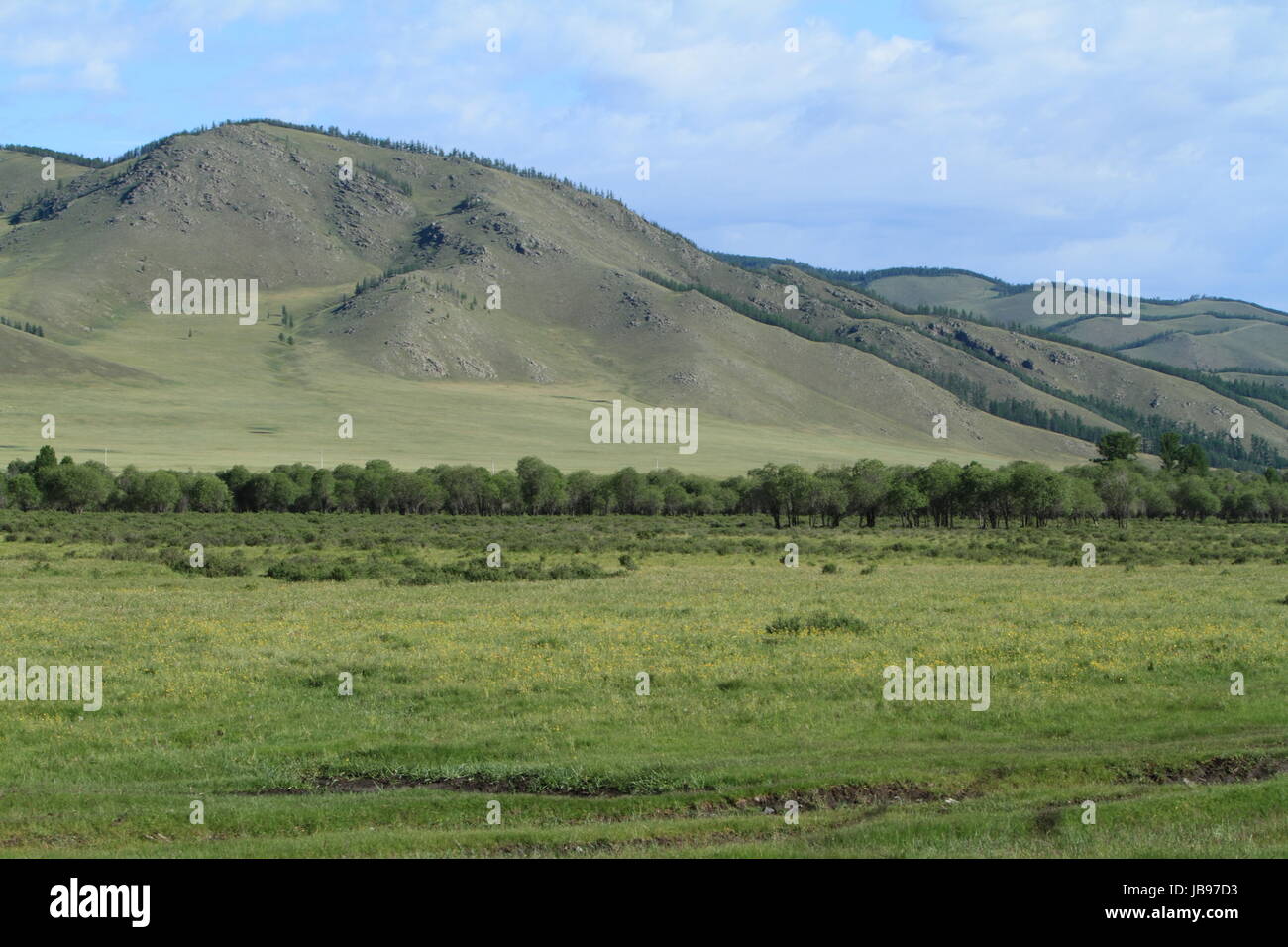 steppe central asia Stock Photo - Alamy