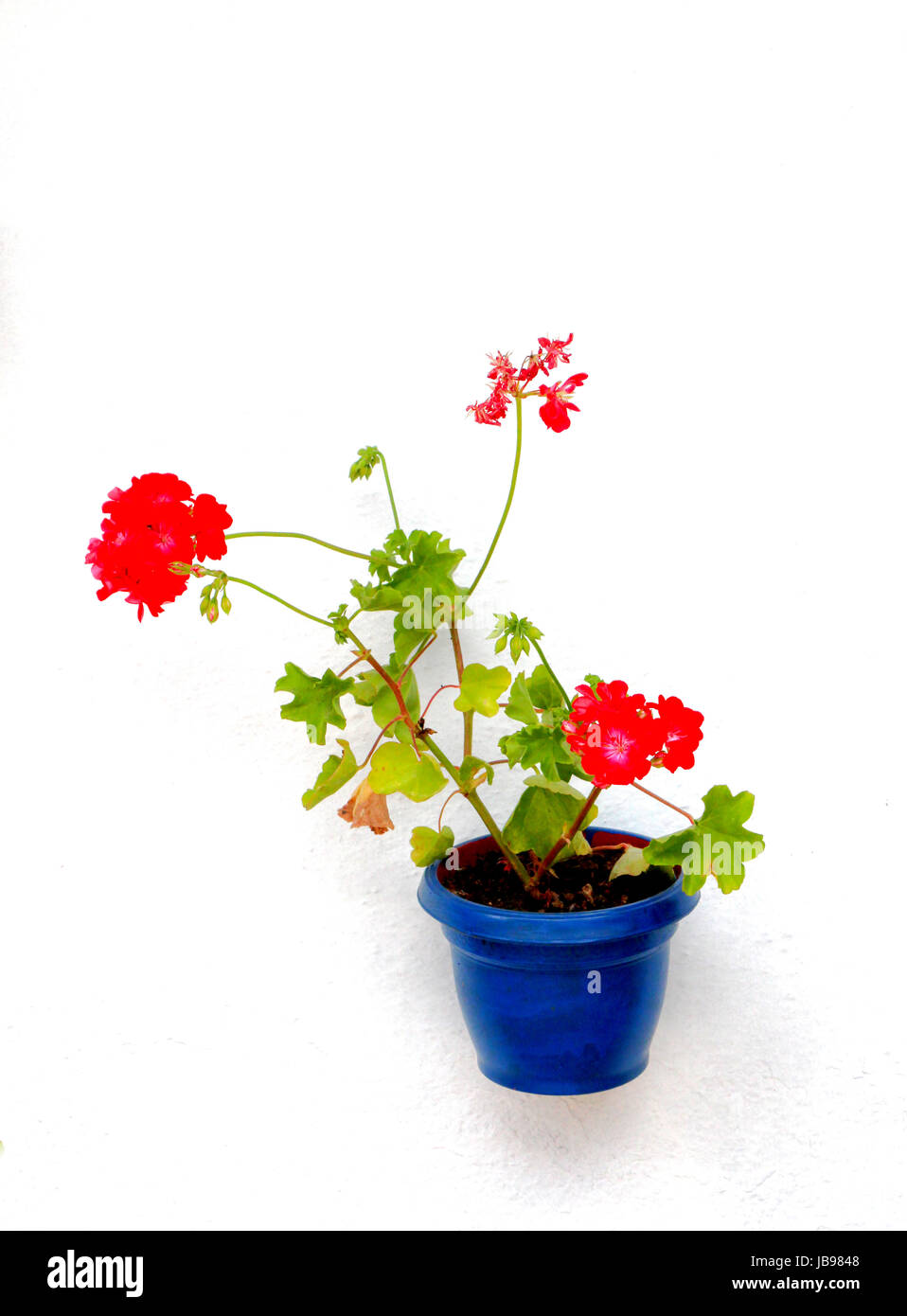 Wall decor yellow red Cut Out Stock Images & Pictures - Alamy