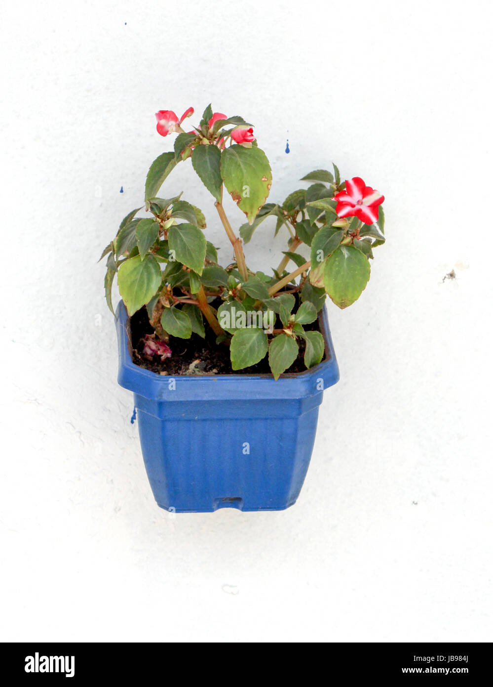 Wall decor yellow red Cut Out Stock Images & Pictures - Alamy