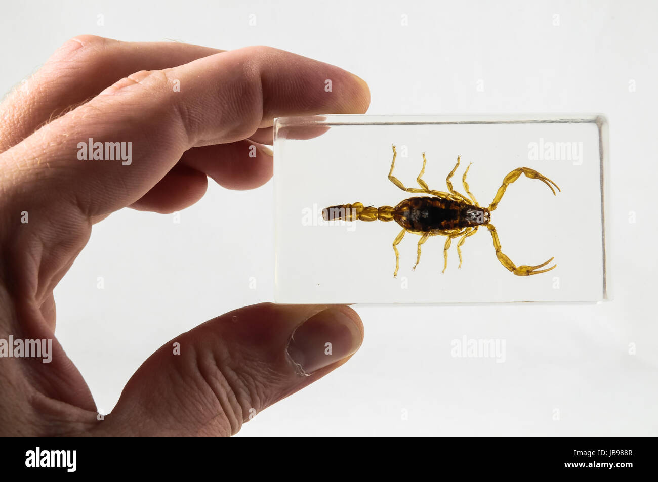 Bb28 hi-res stock photography and images - Alamy