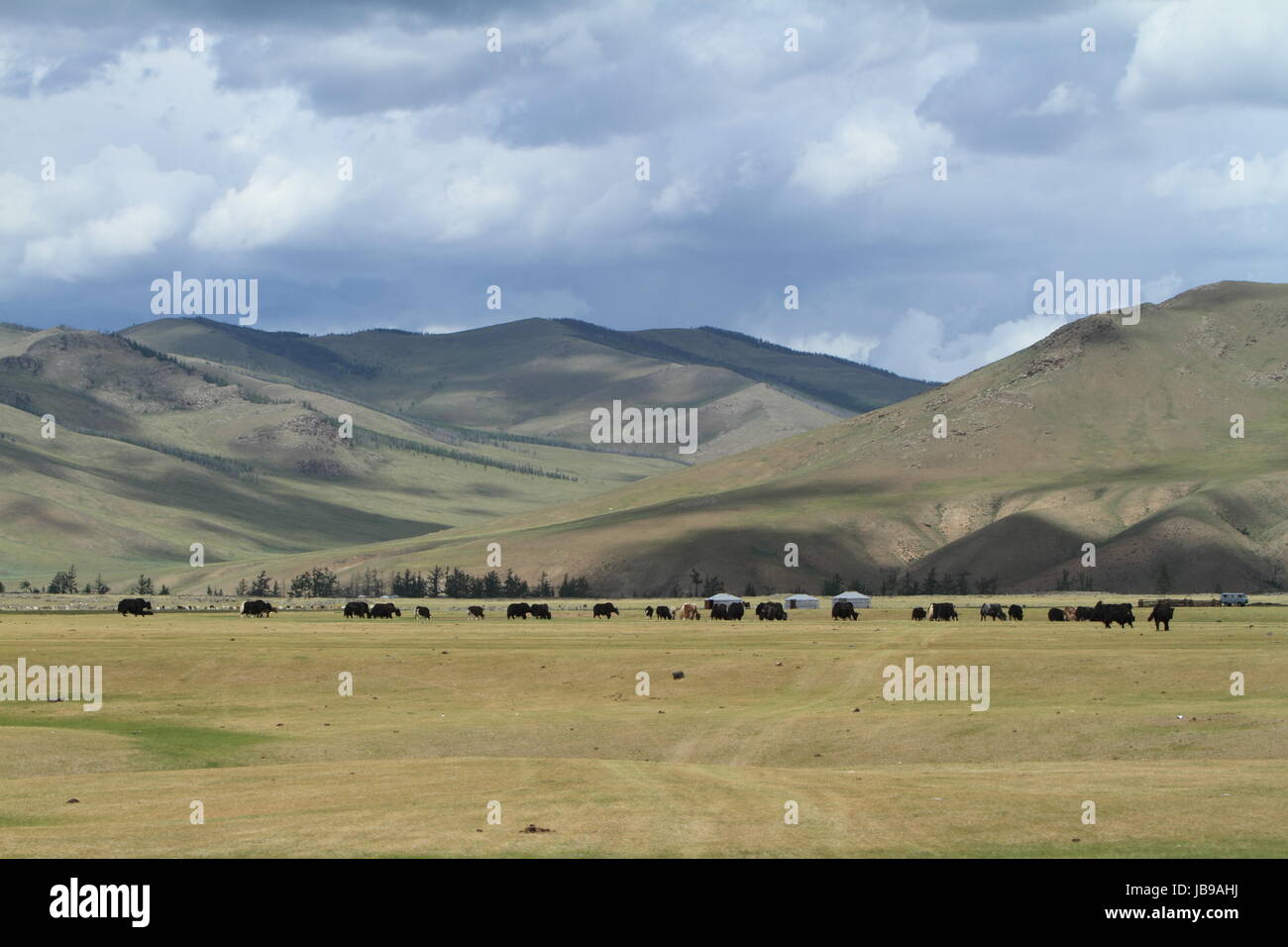 Nationalpark orkhon hi-res stock photography and images - Alamy