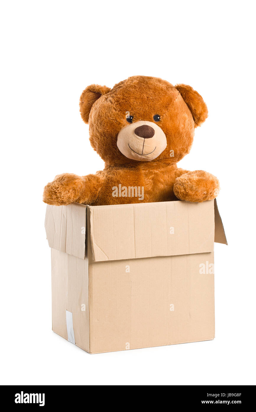teddy bear in paper box on white background Stock Photo - Alamy