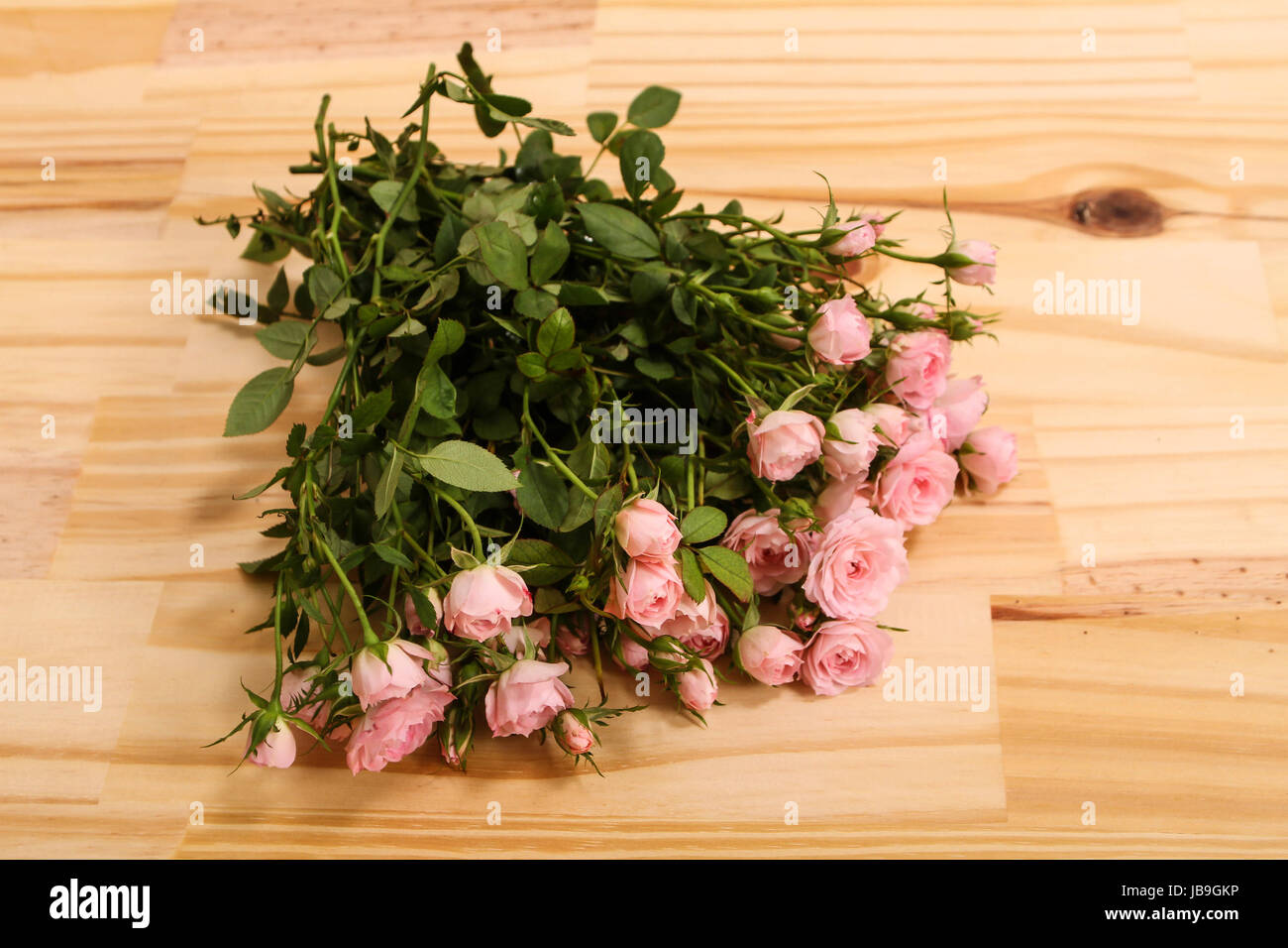Bunch of small pink Roses Stock Photo - Alamy