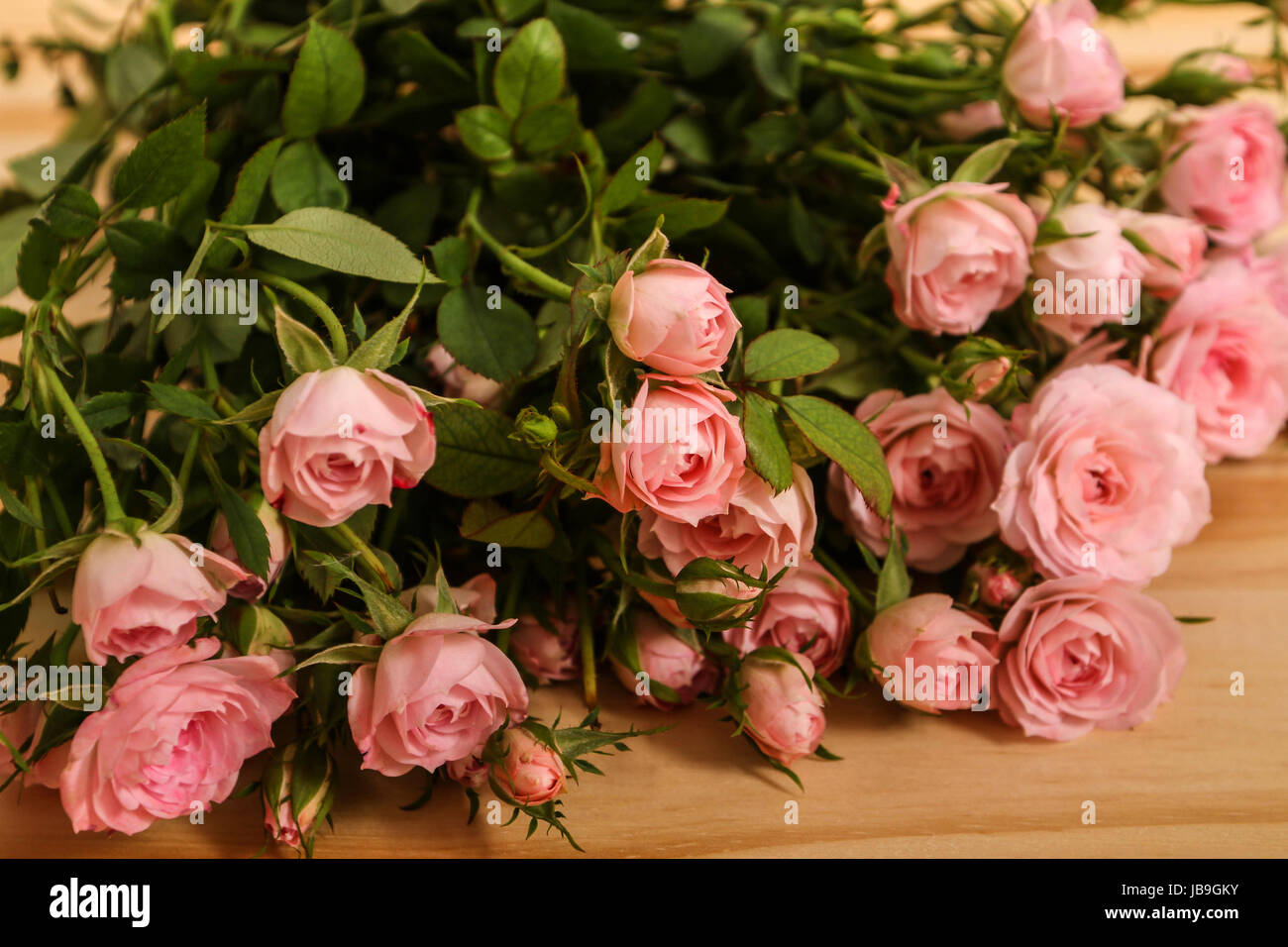 Bunch of small pink Roses Stock Photo - Alamy
