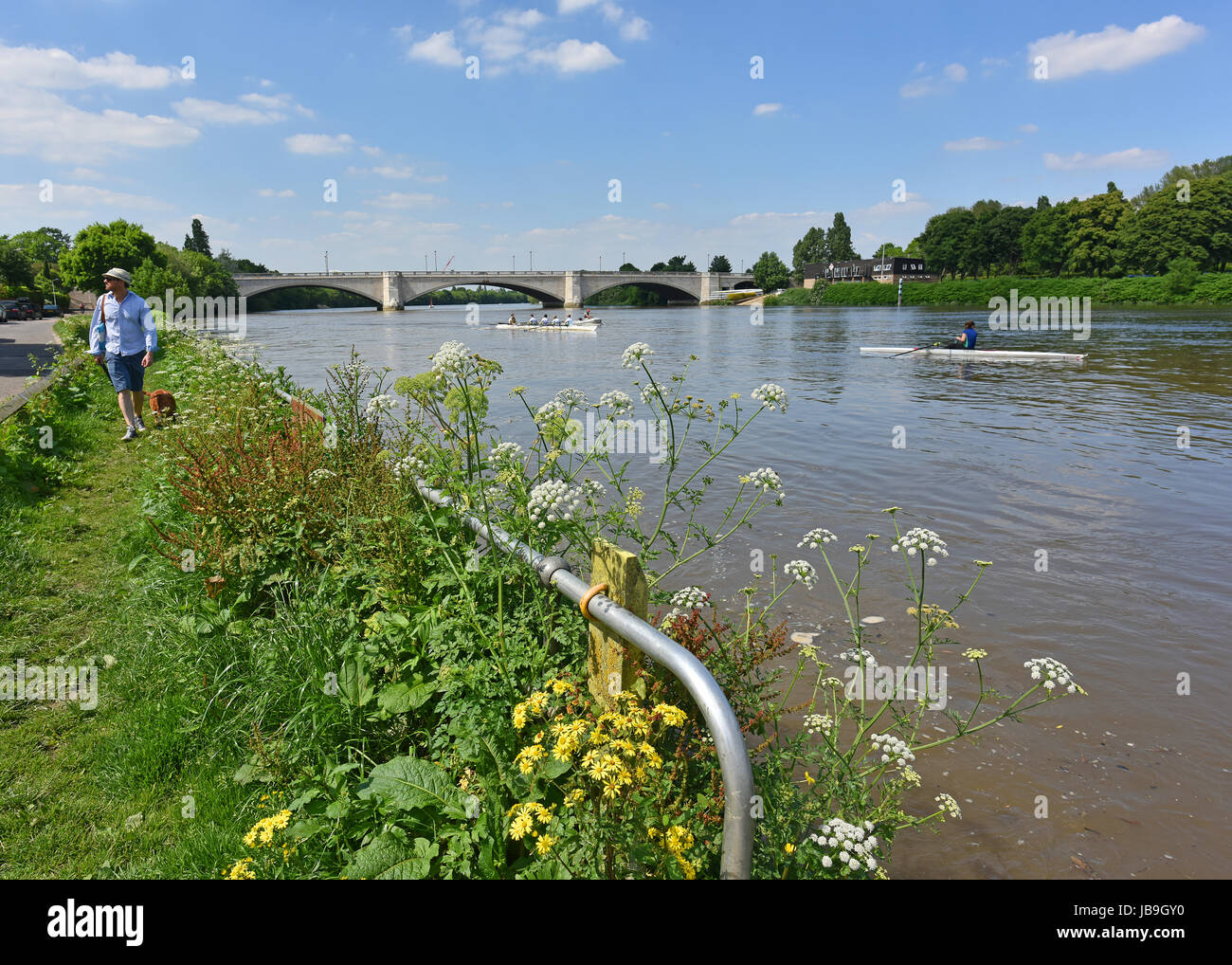 Chiswick bridge hi-res stock photography and images - Alamy