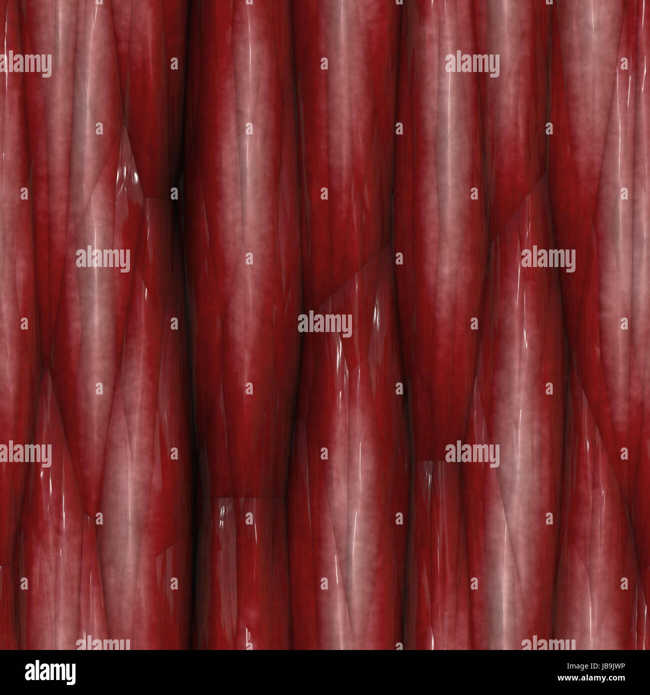 Muscle Fiber Texture