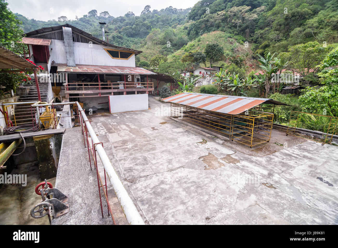 Coffee processing plant on an organic coffee plantation in Minca ...