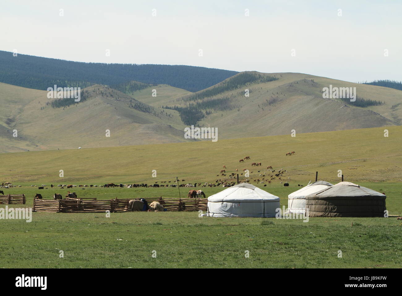 Mongolia market asia city hi-res stock photography and images - Alamy