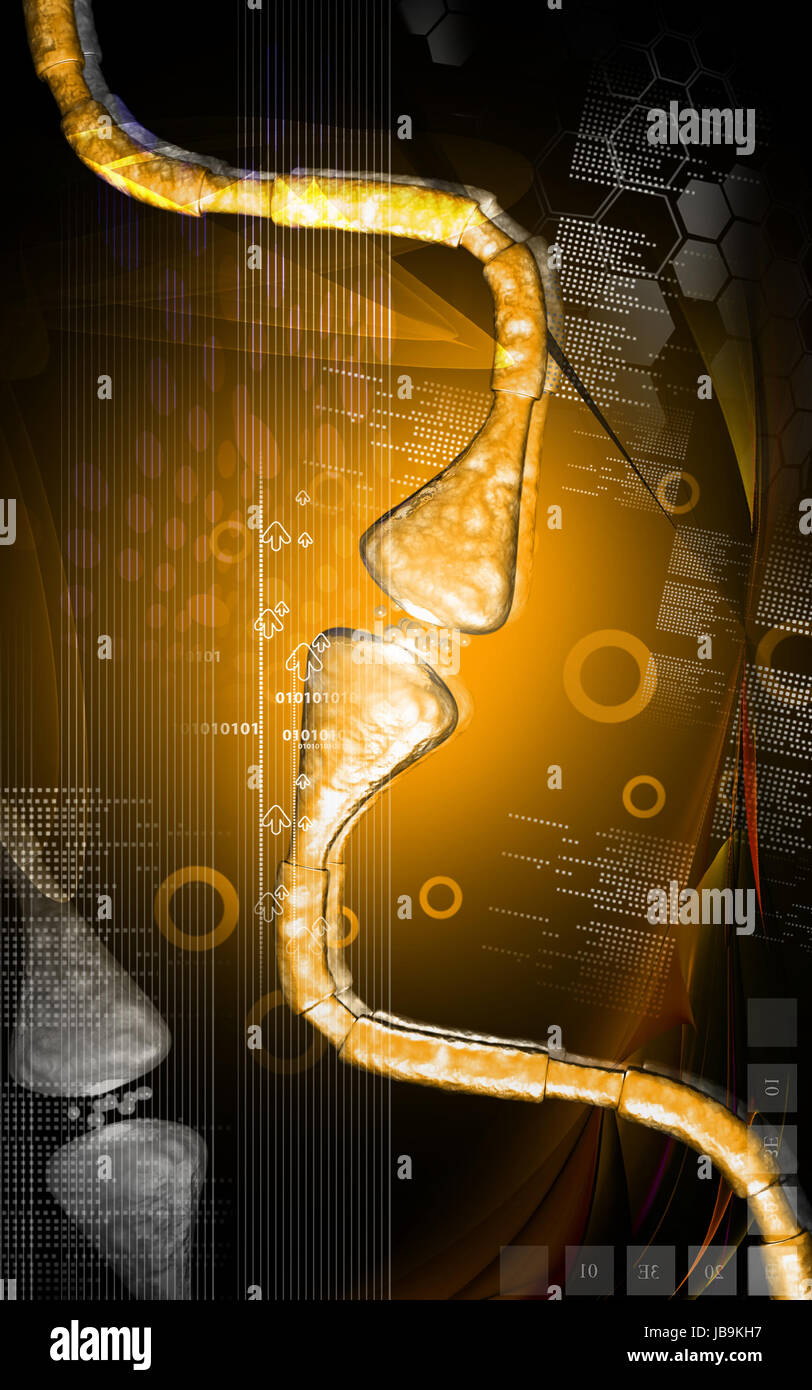 Emory hospital hi-res stock photography and images - Alamy