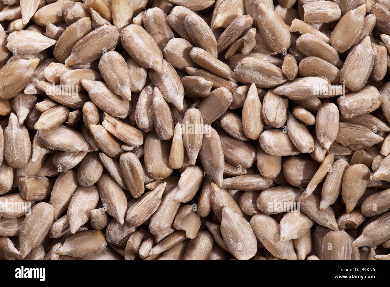 heap of sunflower seed close up Stock Photo - Alamy