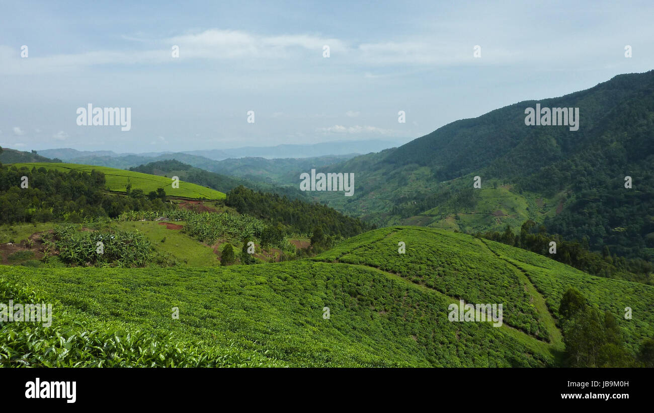 Thousand hills rwanda hi-res stock photography and images - Alamy