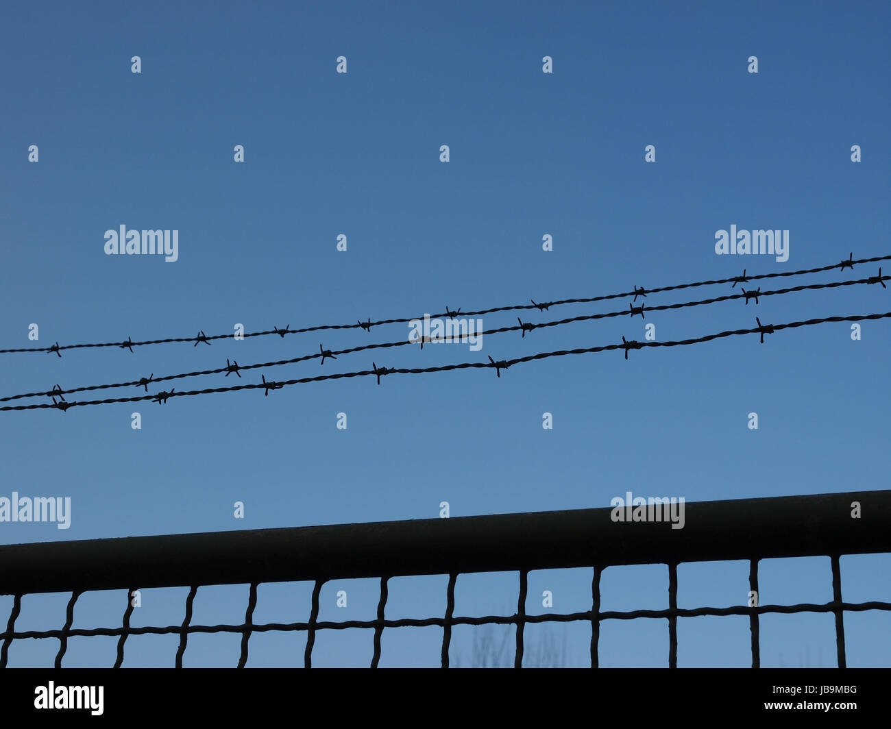 Detail of a barbed wire fence protection Stock Photo - Alamy