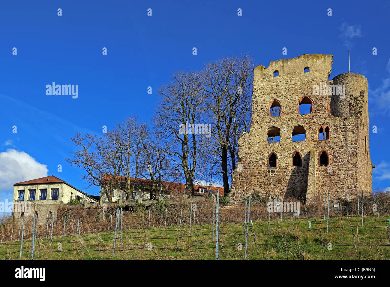 Schlossberg castle fortress ruins hi-res stock photography and images ...