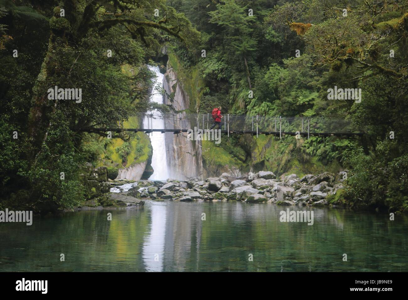 Waterfall on milford track hi-res stock photography and images - Alamy